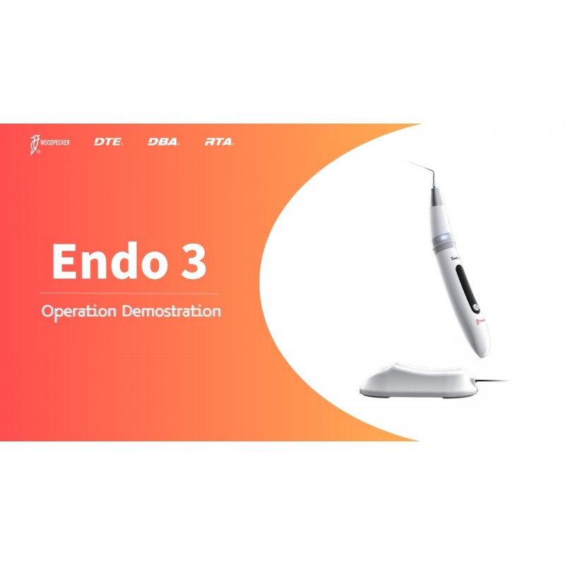 Endo 3