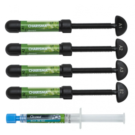 Charisma Smart Composite 4 Syringe Kit